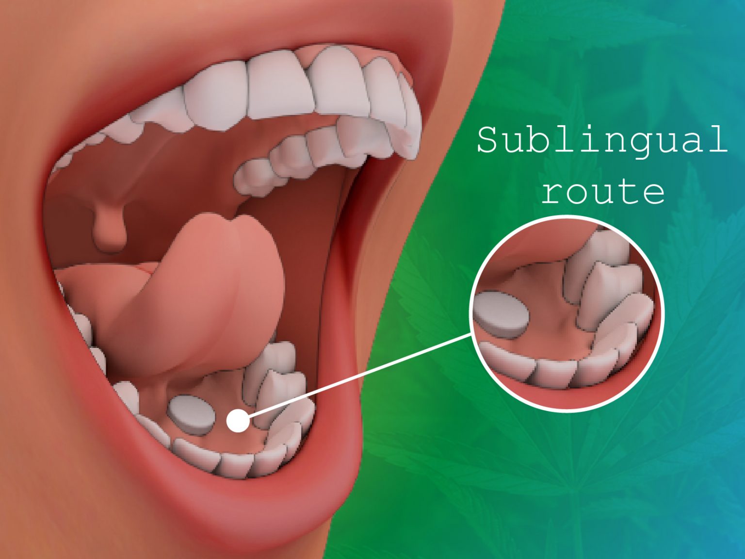 History Of Plants In Medicine – Medicinal Cann