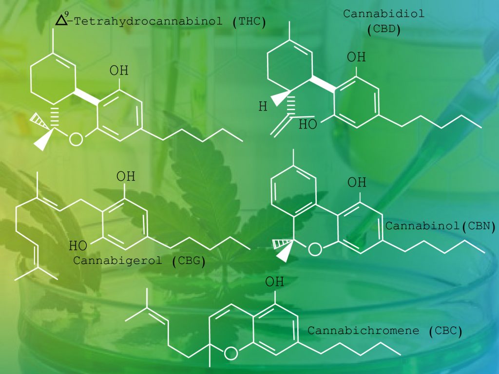 Prescribing plant based medicine – Medicinal Cann